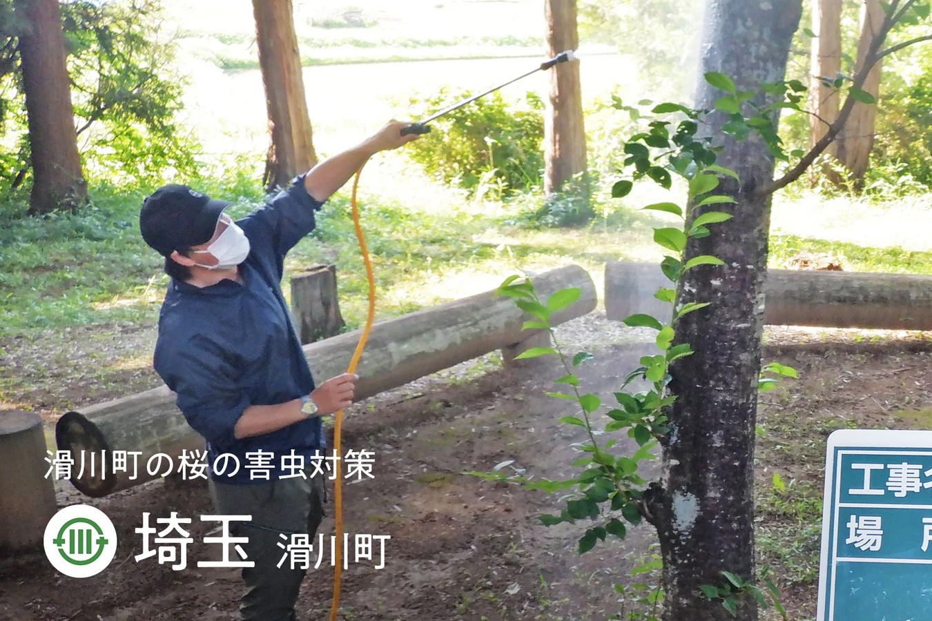 晴れ風ACTION REPORT 2024｜KIRIN