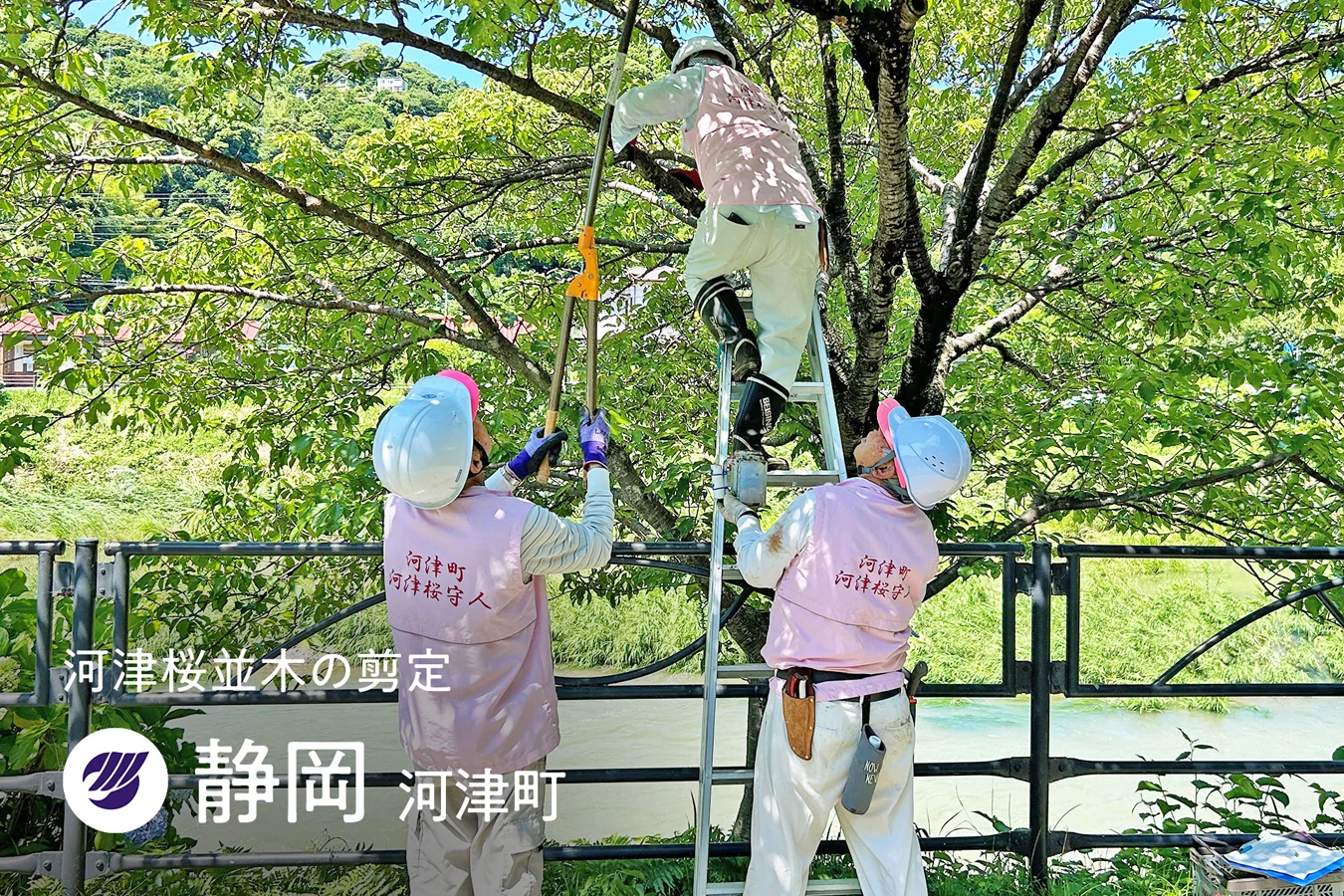 晴れ風ACTION REPORT 2024｜KIRIN