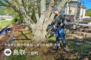 晴れ風ACTION REPORT 2024｜KIRIN