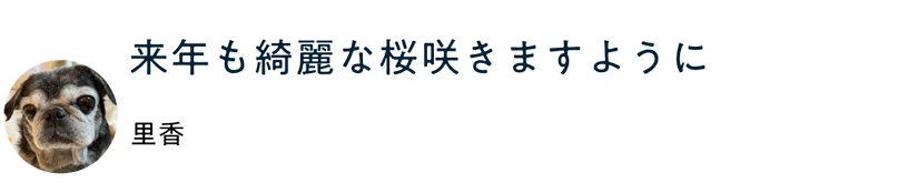 晴れ風ACTION REPORT 2024｜KIRIN